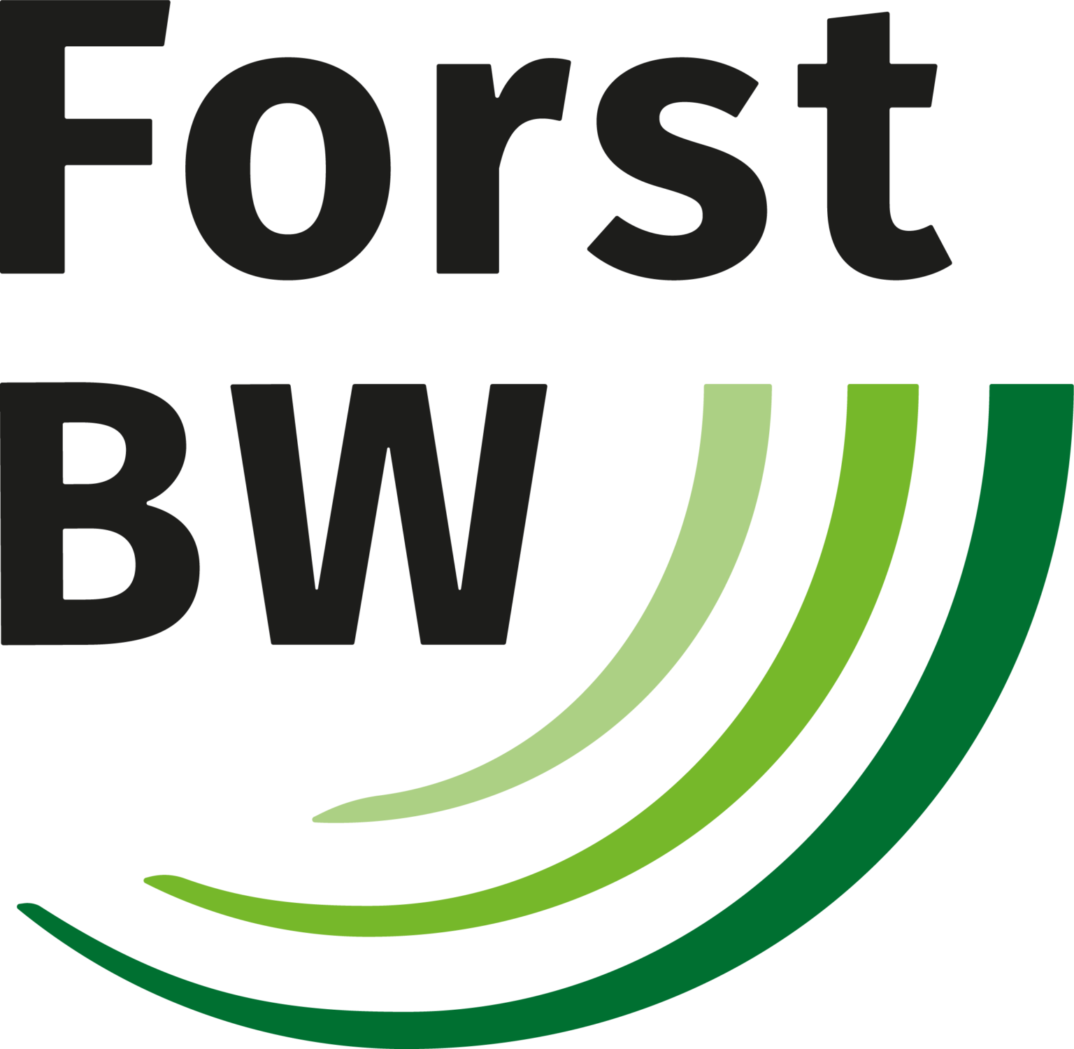 Clear Timber Analytics